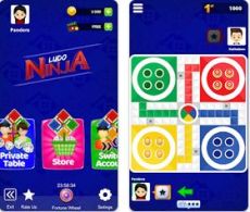 Ludo Ninja Apk v2 Download For Android 2024